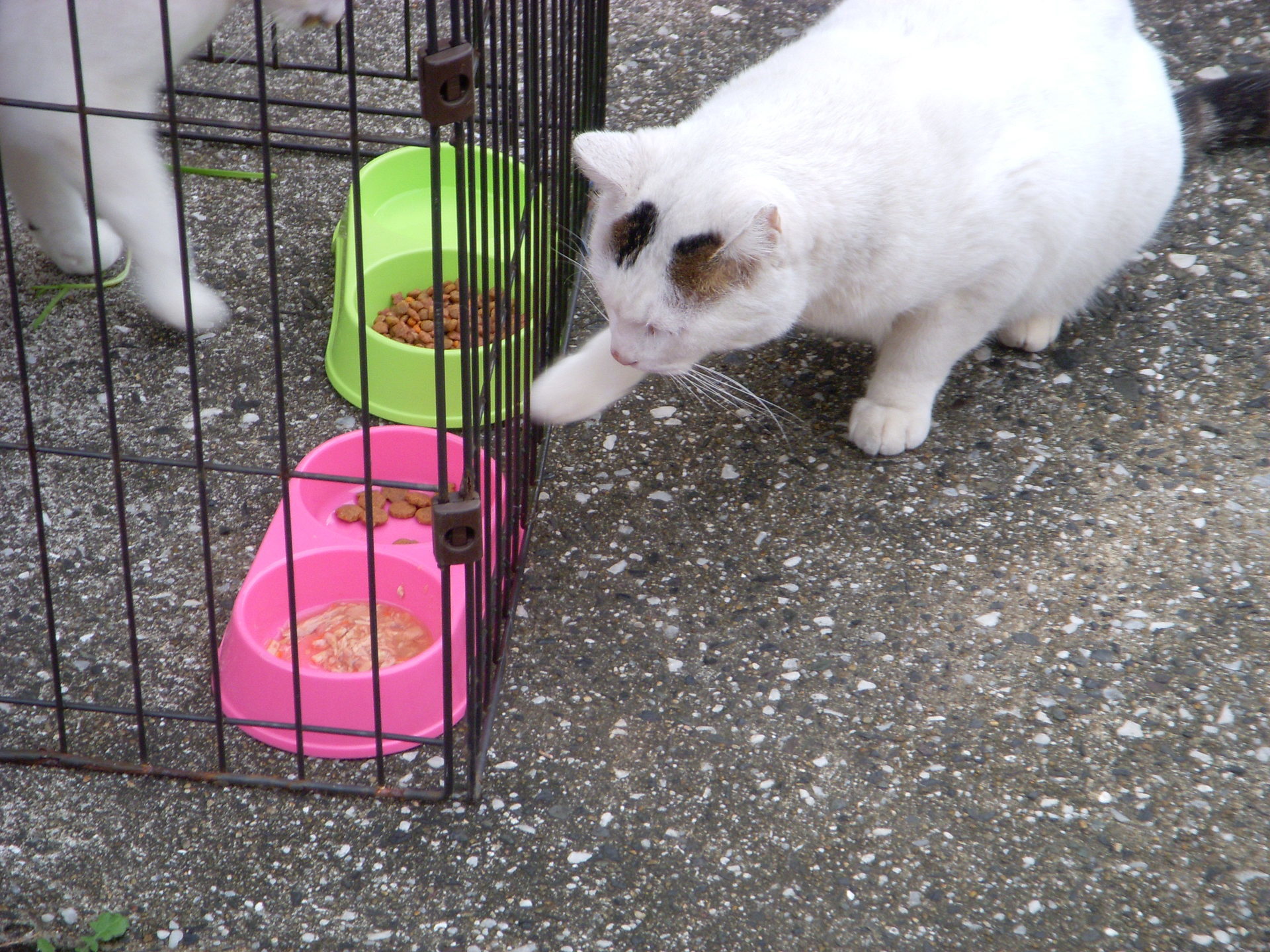 「幸福」にとらわれない生き方: ランティエの日々 2号店