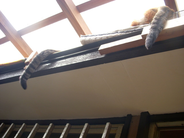 誰が居る？！: ランティエの日々 2号店